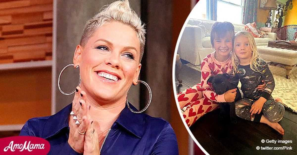 Pink Encourages Fans to Adopt Pets as She Introduces Her Family's New ...