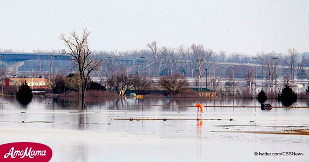 Terrifying Flood Took Three Lives and Left Thousands Displaced in the ...