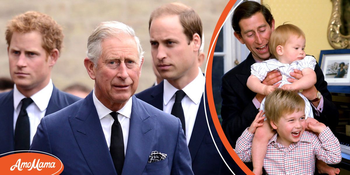 King Charles III Could Hand Power to Son Who Has Been Prepared since ...