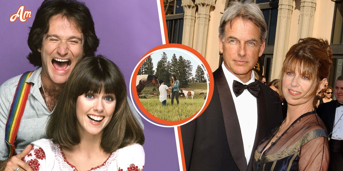 Pam Dawber Sacrificed Fame to Be Mom to Mark Harmon’s Kids — Their Son ...