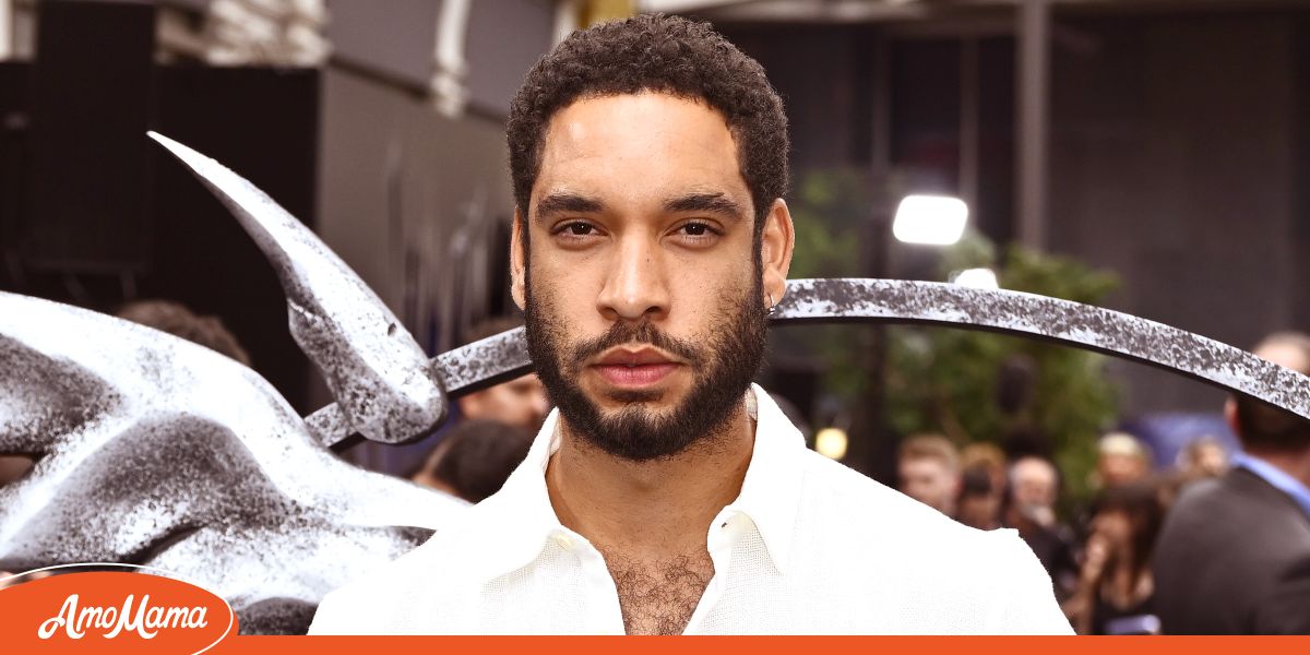 Royce Pierreson's Wife: Istredd from 'The Witcher' Is Married to ...