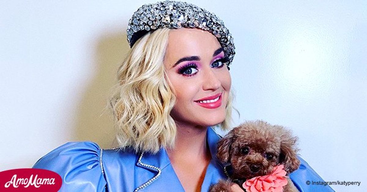 Katy Perry Declares She & Beloved Dog Nugget Are Almost Ready to Become ...