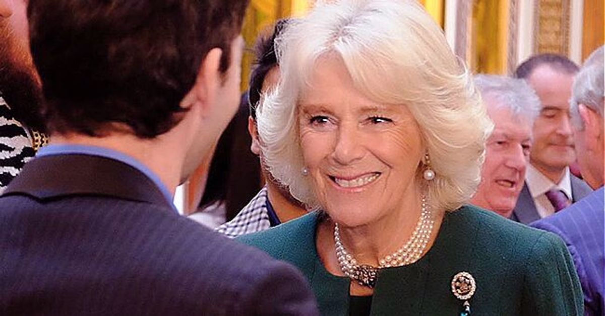The Sun: Camilla's Brooch Looks Similar to Princess Diana's Diamond and ...