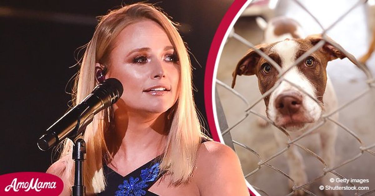 Miranda Lambert to Give $160K Worth of Grants to Animal Shelters ...