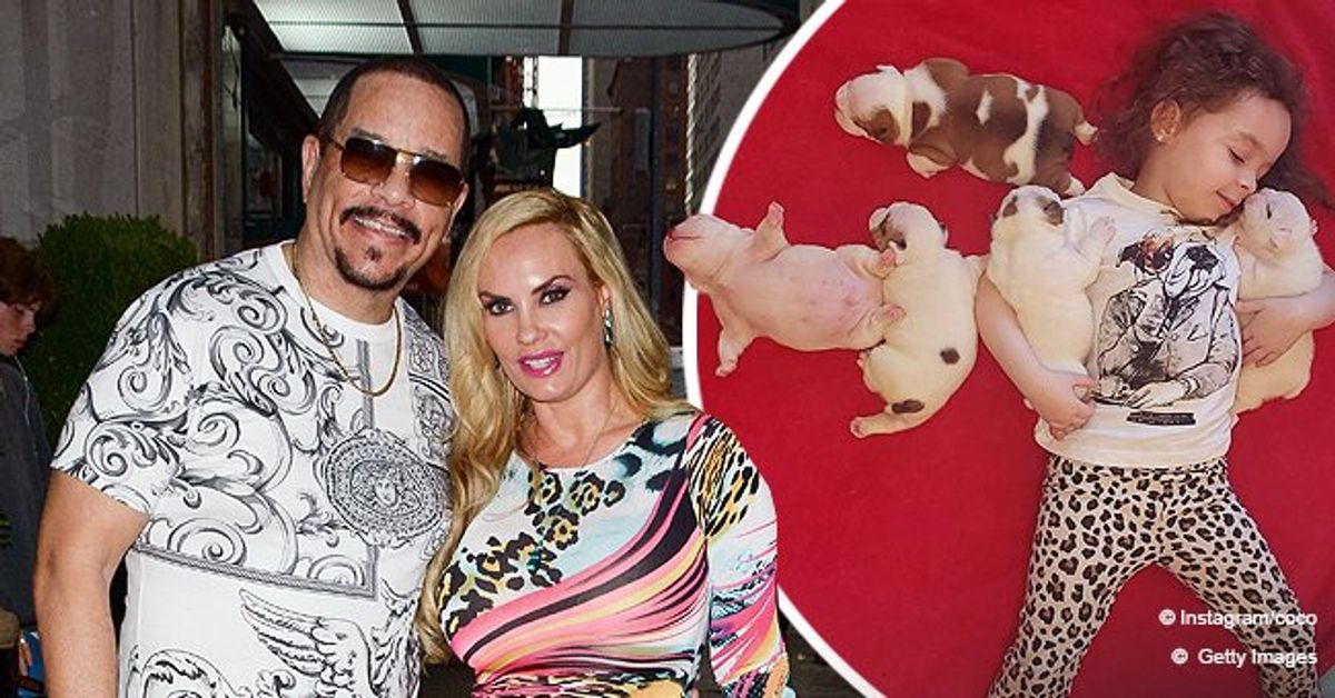 Coco Austin Shows Daughter Chanel Hugging Their Bulldog's Puppies — See ...