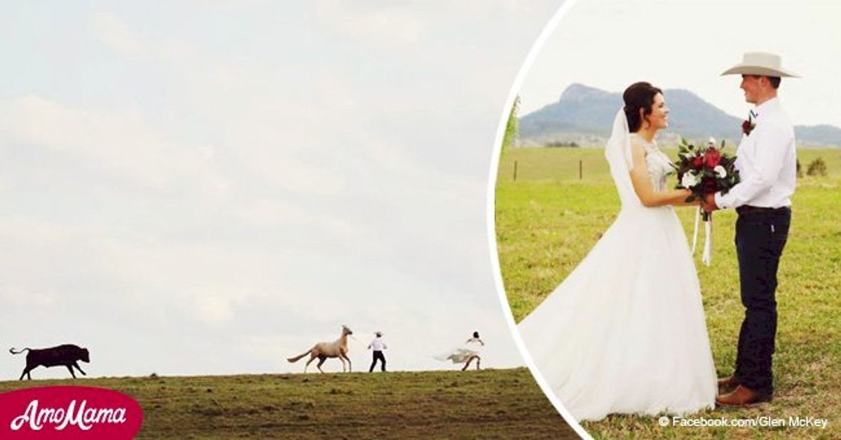 Ferocious bull interrupts couple’s wedding photoshoot forcing them to ...