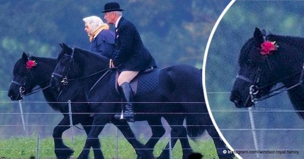Queen Elizabeth went horse riding and specially decorated her mount ...