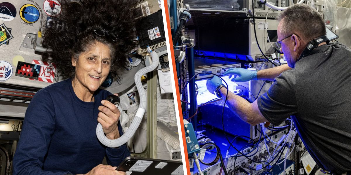 Two Astronauts Stuck in Space for 80+ Days Left behind as Aircraft ...
