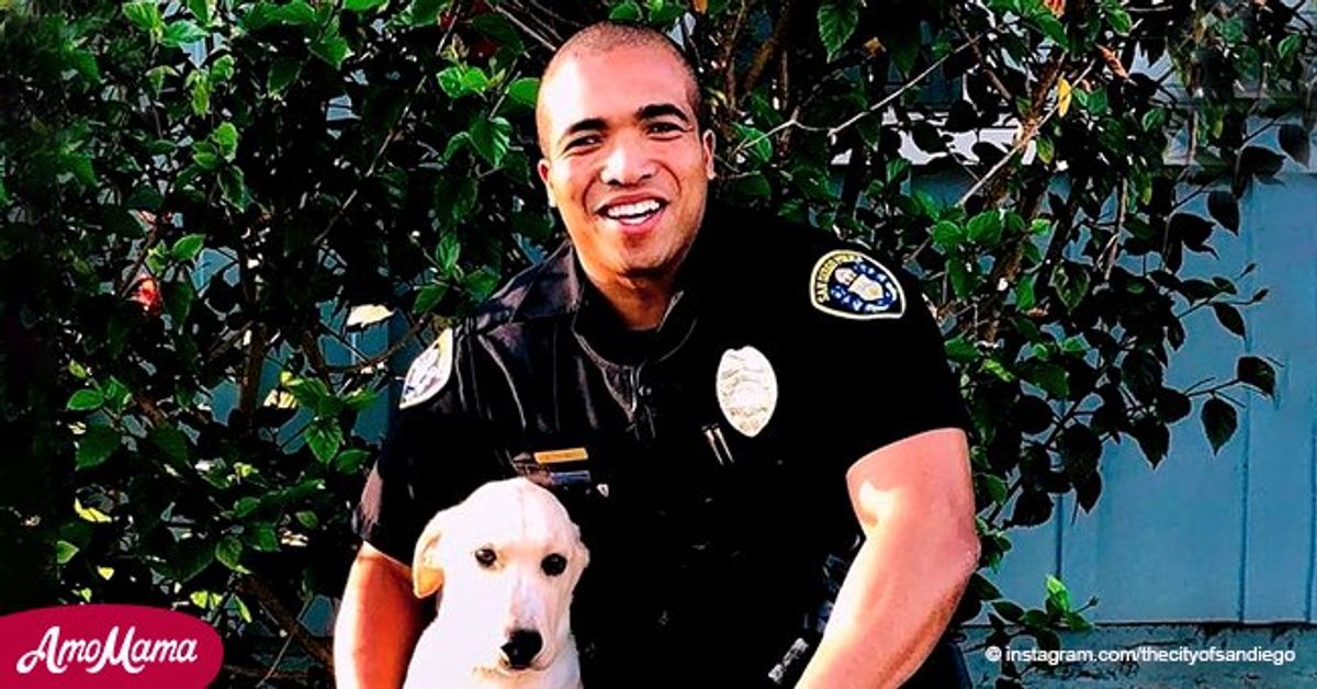 San Diego Police Officer Rescued Dog from Abandoned Car and the Two ...
