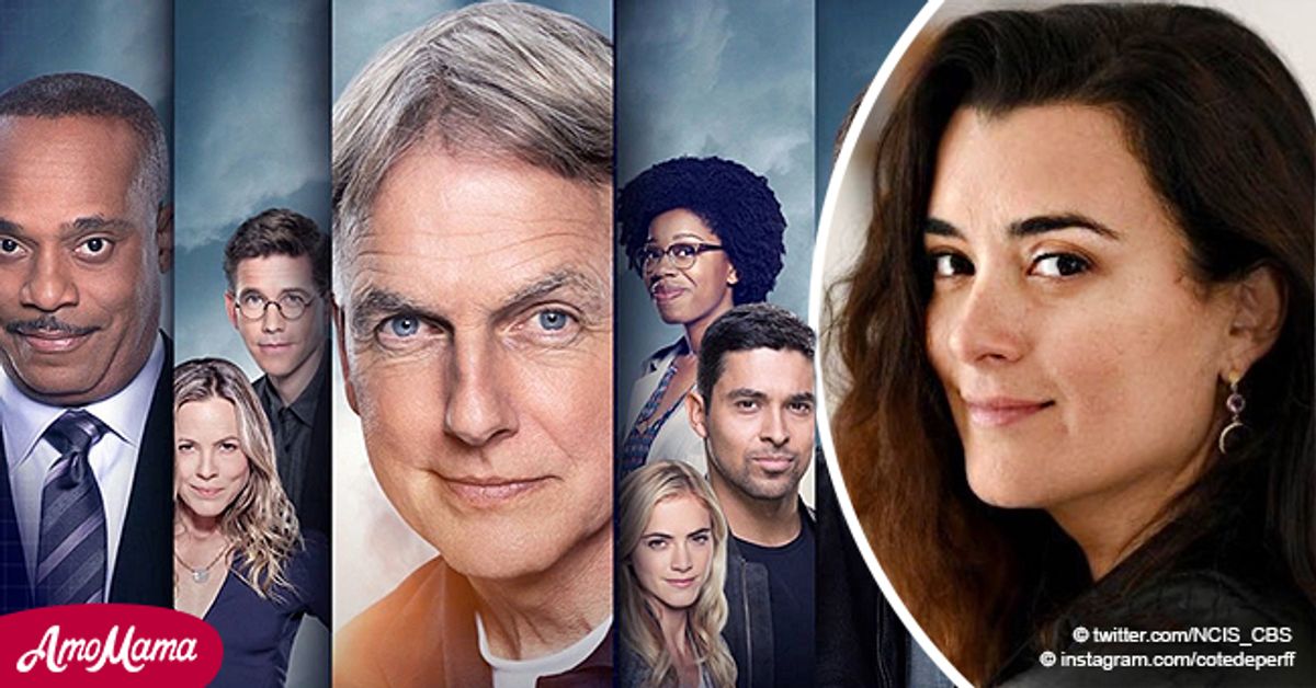 NCIS: Everything You Need to Know about the Upcoming Season