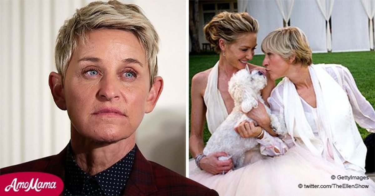 Fans React to Ellen DeGeneres as She Mourns the Passing of Her Dog Wolf