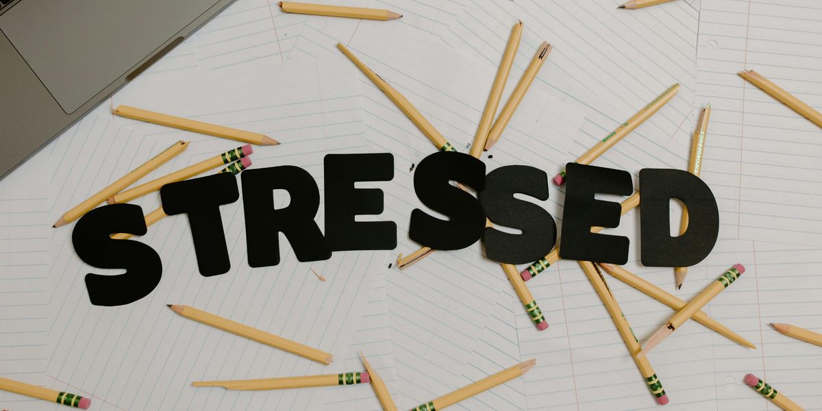 How Chronic Stress Affects the Body — and What Helps Reduce It