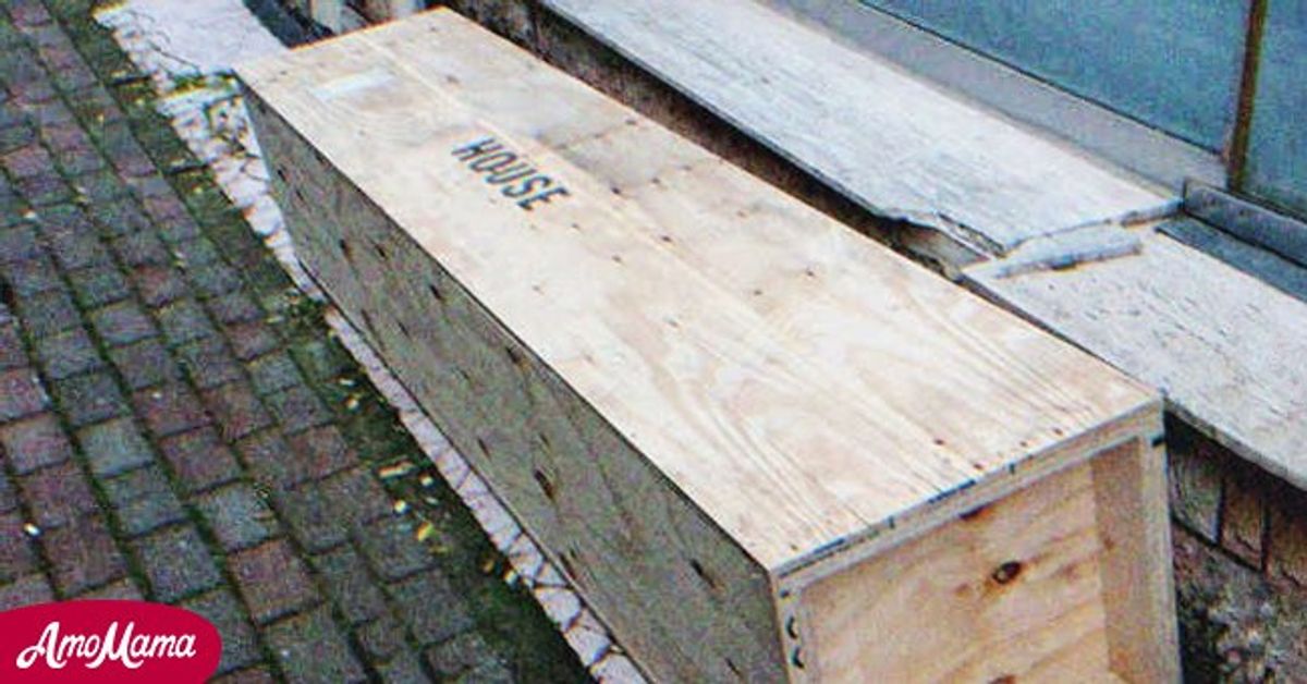 I Was Delivered a Huge Box and I Was Ready to Call the Police – Story ...