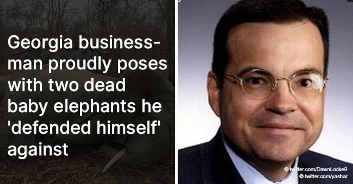 Georgia businessman proudly poses with two dead baby elephants he ...