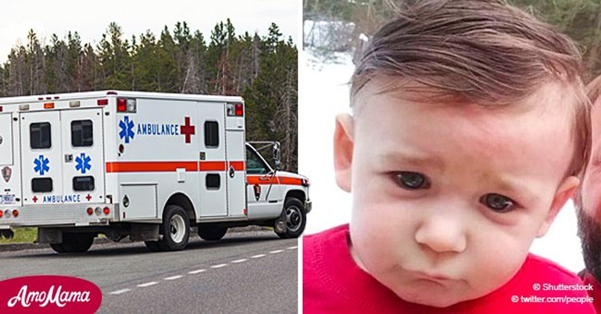 1-Year-Old Boy Tragically Dies after a Tree Falls on Him While He Was ...