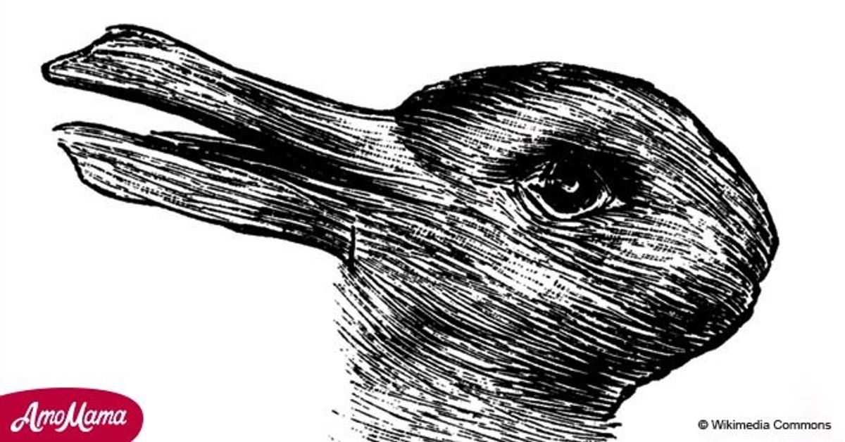 The psychology behind rabbit-duck optical illusion