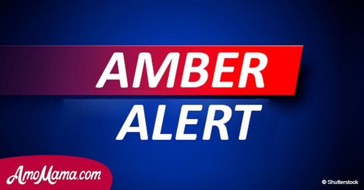 2 toddlers are missing after their mother was killed in Illinois ...