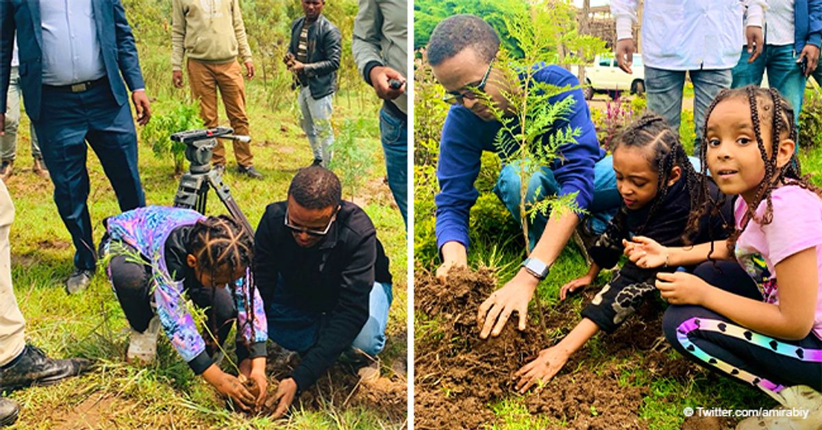 Ethiopia Breaks World Record by Planting over 350 Million Trees in 12 Hours